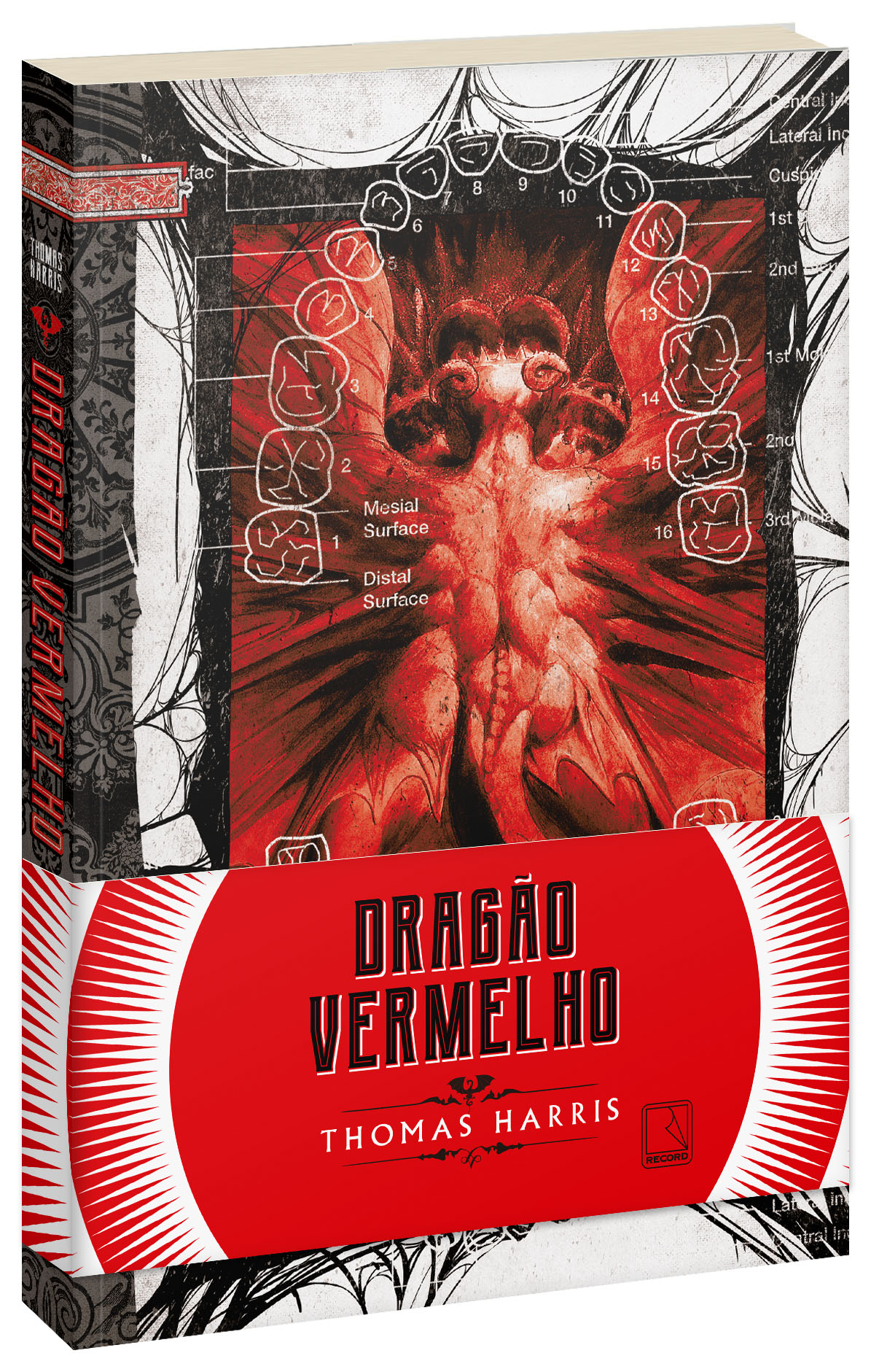 Dragão vermelho (Vol. 2 Trilogia Hannibal Lecter) - Grupo Editorial Record
